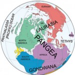 PLATES Project - UT Institute for Geophysics