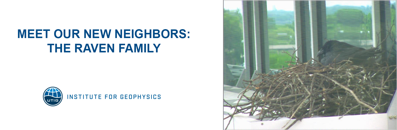 Watch Our Raven Camera - UT Institute for Geophysics